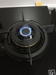 Dual Flame control inner | EF Home Appliances